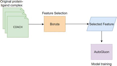 Schematic Representation Of The Feature Selection Workflow And Training