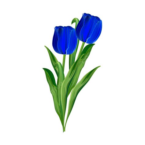 Modern Color Tulip Flower Design Color Tulip Flower Design Tulip