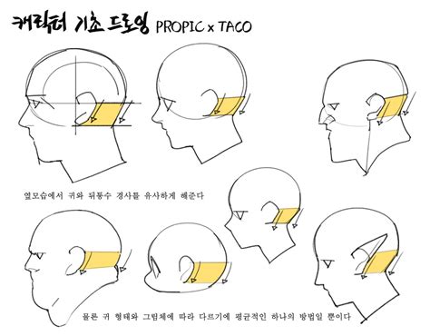 타코작가 On Twitter 옆모습에서 귀의 경사와 뒤통수 경사를 유사하게 만들어 준다 Body Reference