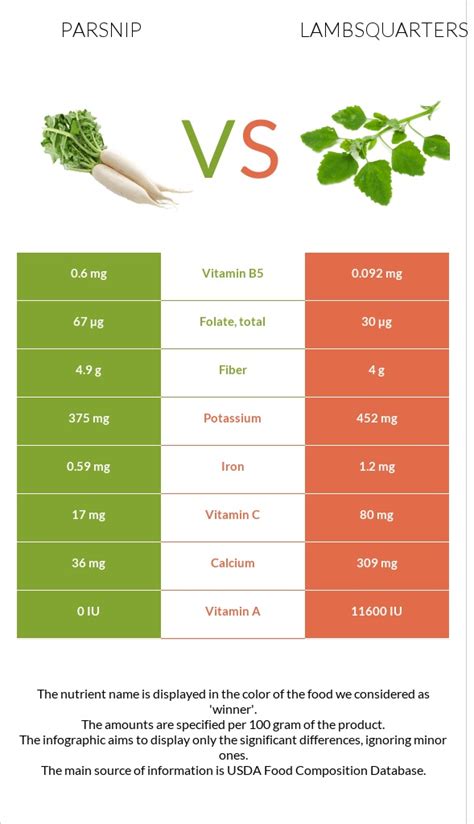 Parsnip Vs Lambsquarters In Depth Nutrition Comparison