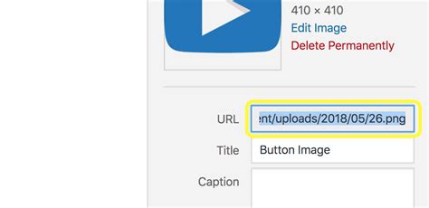 How To Create A Scroll Back To Top Button In Wordpress