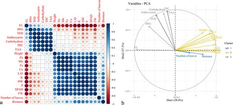 heat maps of pearson correlation heat map a and loading biplot of the