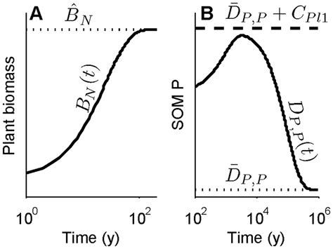 Examples Of Transient Dynamics With Single Or Double Saturation