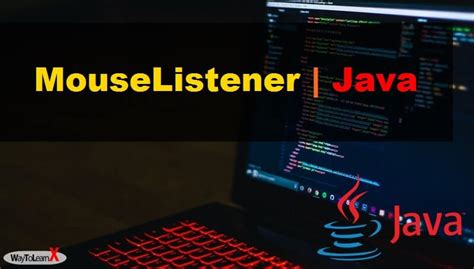 Mouselistener Java Waytolearnx
