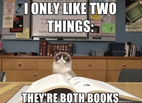 A List Of Funny Book Memes For Authors To Use