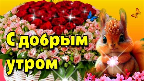 🌞🌈🌼Доброго утра 🥀 благословенного дня 🌈🌞Красивое музыкальное пожелание🌈 Youtube