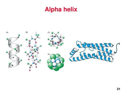 Ppt Ceng 465 Introduction To Bioinformatics Powerpoint Presentation