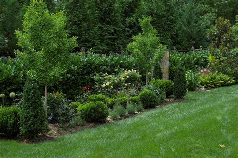 Imgp0804 Xenograft Flickr