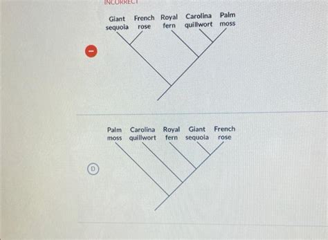 solved the following table shows a set of derived characters