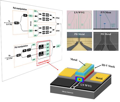 Ultra Wideband Heterogeneous Integrated Photodiodes On Thin Film Lithium Niobate Platform