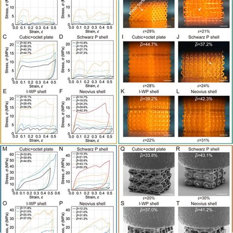 In Situ Compression Experiments Of Various Truss Plate And Download Scientific Diagram