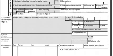 Import Declaration Guide Sad Ireland Custran