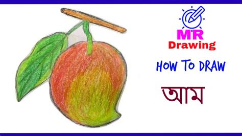 How To Draw A Mango Step By Step YouTube