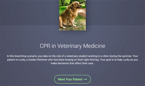 Creating A Cpr In Veterinary Medicine Scenario In H5p Jr Blogwall