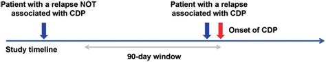 Schema For Percentage Of Relapses Leading To Cdp Red Arrow Represents