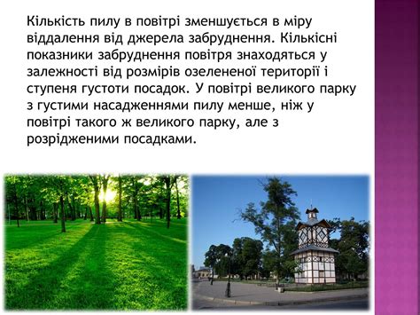 Презентація на тему Вплив зелених насаджень на загазованість міста