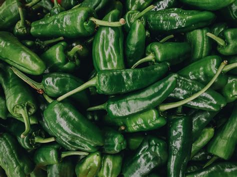 Padron Peppers 101 & How To Cook Padron Peppers | Cooked Best