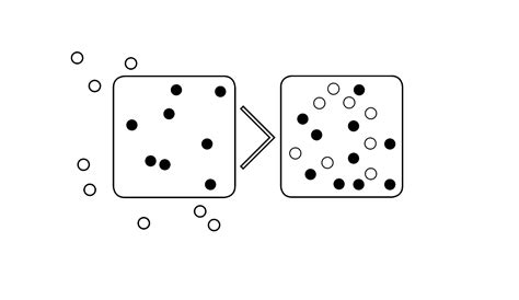 Laboratory Practical Sessions Inclusive Teaching