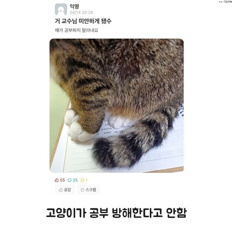 미쳐날뛰는 시험기간 에타 유머움짤이슈 에펨코리아