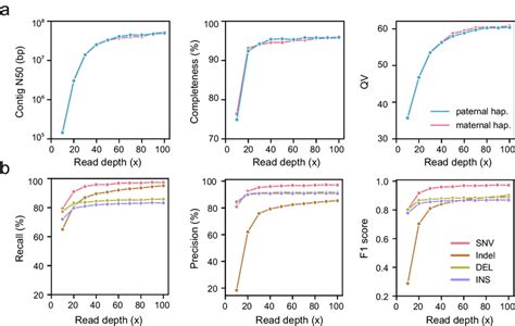 Quality Of Chinese Quartet Assemblies And Accuracy Of Variant Calling Download Scientific