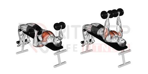 13 Ultimate Weight Bench Workout Exercises At Home Ritkeep Ritkeep Us
