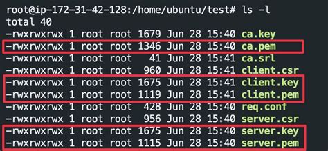 How To Configure Clickhouse Ssl Connection Dev Community