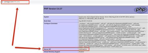 Asp Net Mvc Mvc Css And Authentication Hell Stack Overflow