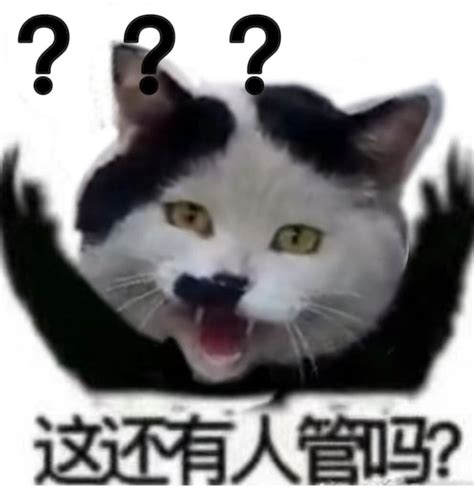 已解决 Ubuntu多显卡训练模型时程序卡死：torch Torch 奈若何 Ew帮帮网