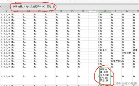 Sas导入csv文件某些不完整sas导入csv文件如何防止截断 Csdn博客