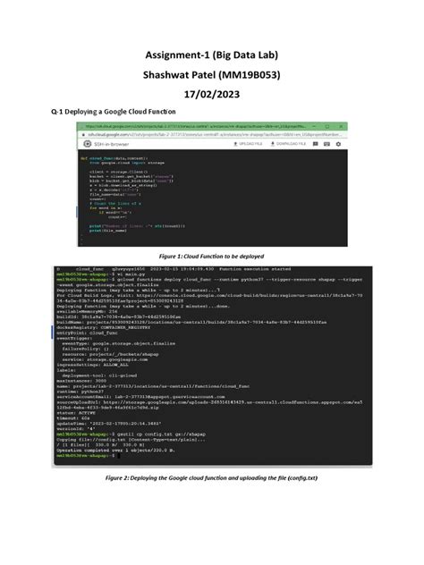 serverless computing pdf technology and engineering