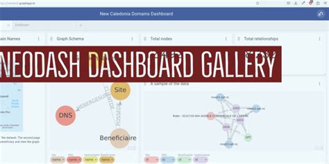 📊 Domainenc On Neo4j Auradb Neodash Gallery 🎨 Dev Community