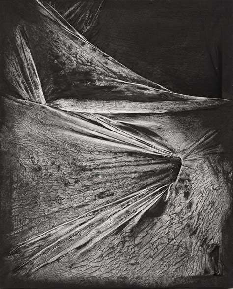 Stella Zhang 0 Viewpoint 3 58 2016 Nanhai Art Chinese Contemporary Art