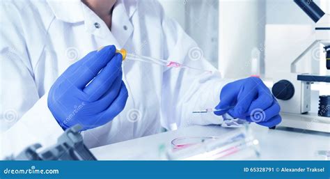 Young Female Scientist Analyzing Sample In Laboratory Laboratory Assistant Analyzing A Sample