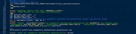 Colored Prompt On Bash Console Diprimio Com
