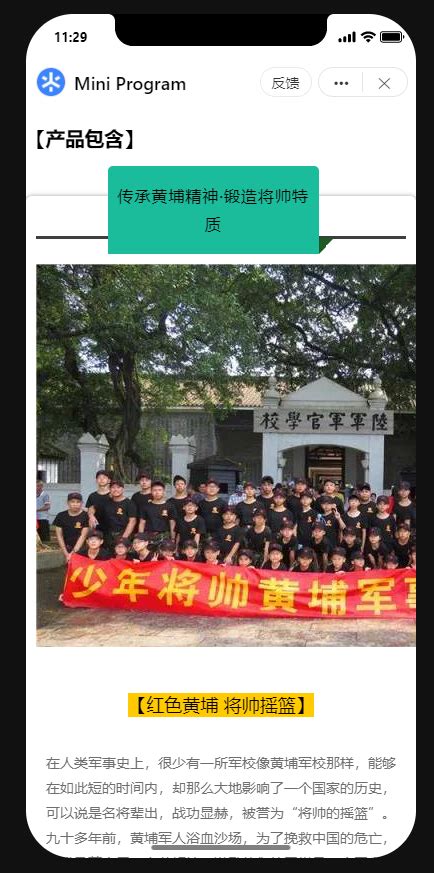 富文本原生rich Text组件问题 · Issue 371 · Redengineerredmini · Github