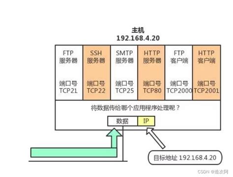 计算机网络协议详解（一） csdn博客