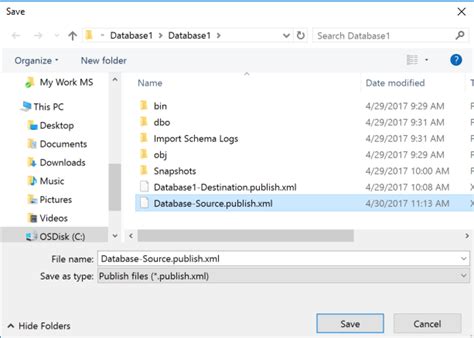 An Overview Of SSDT Developer Support