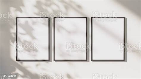 흰색 벽 배경에 잎 그림자와 햇빛 3d 렌더링으로 조롱하는 빈 검은 색 수직 직사각형 프레임 액자에 대한 스톡 사진 및 기타 이미지 Istock