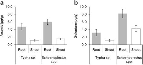 Average Annual A Arsenic As And B Selenium Se Concentrations In The