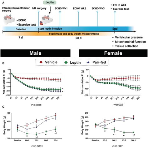 Central Nervous System Actions Of Leptin Improve Cardiac Function After Ischemia Reperfusion