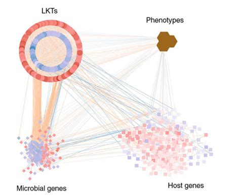Issue Taowenmicro Ggclusternet Github