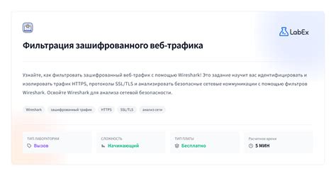 Фильтрация зашифрованного веб трафика Labex