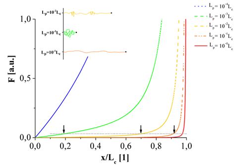 2 Force F As Function Of Relative Elongation Of A Polymer According