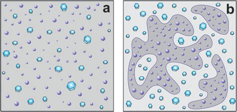 Conceptual Diagrams Of A Genuine And B Conditional Mixed‐phase Download Scientific Diagram