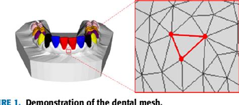 Figure 1 From Mesh Segmentation For Individual Teeth Based On Two