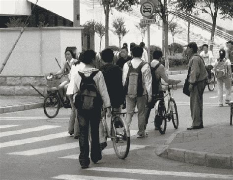 torchvision对象检测微调教程 布客PyTorch 中文翻译