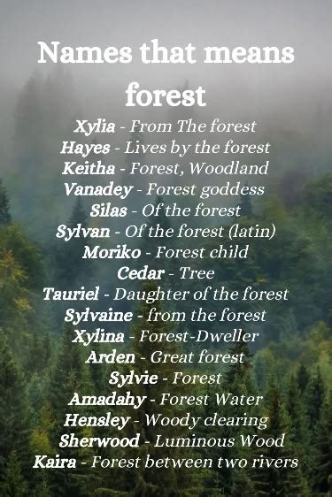 Names That Means Forest Writing Inspiration Prompts Writing Inspiration Book Writing Inspiration