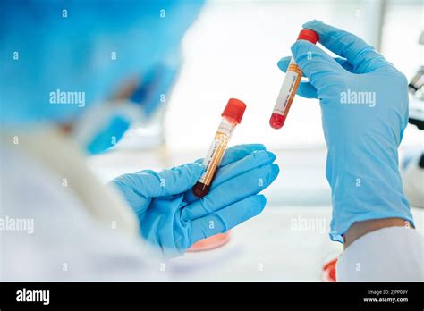 Modern Microbiology Lab