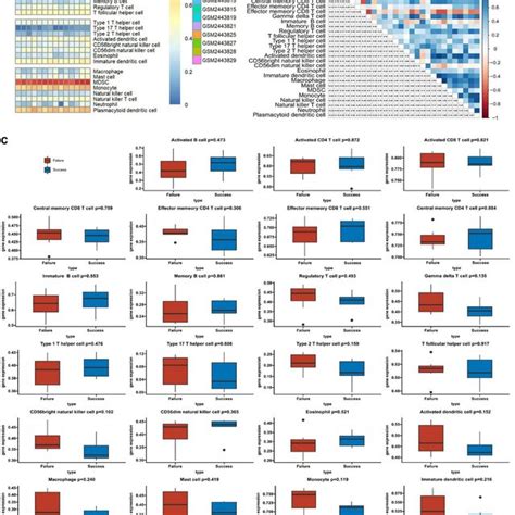 The Profiles Of Immune Cell Subtype Distribution Patterns In The Download Scientific Diagram