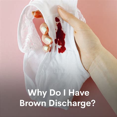 Why Do I Have Brown Discharge Brown Discharge Wuka